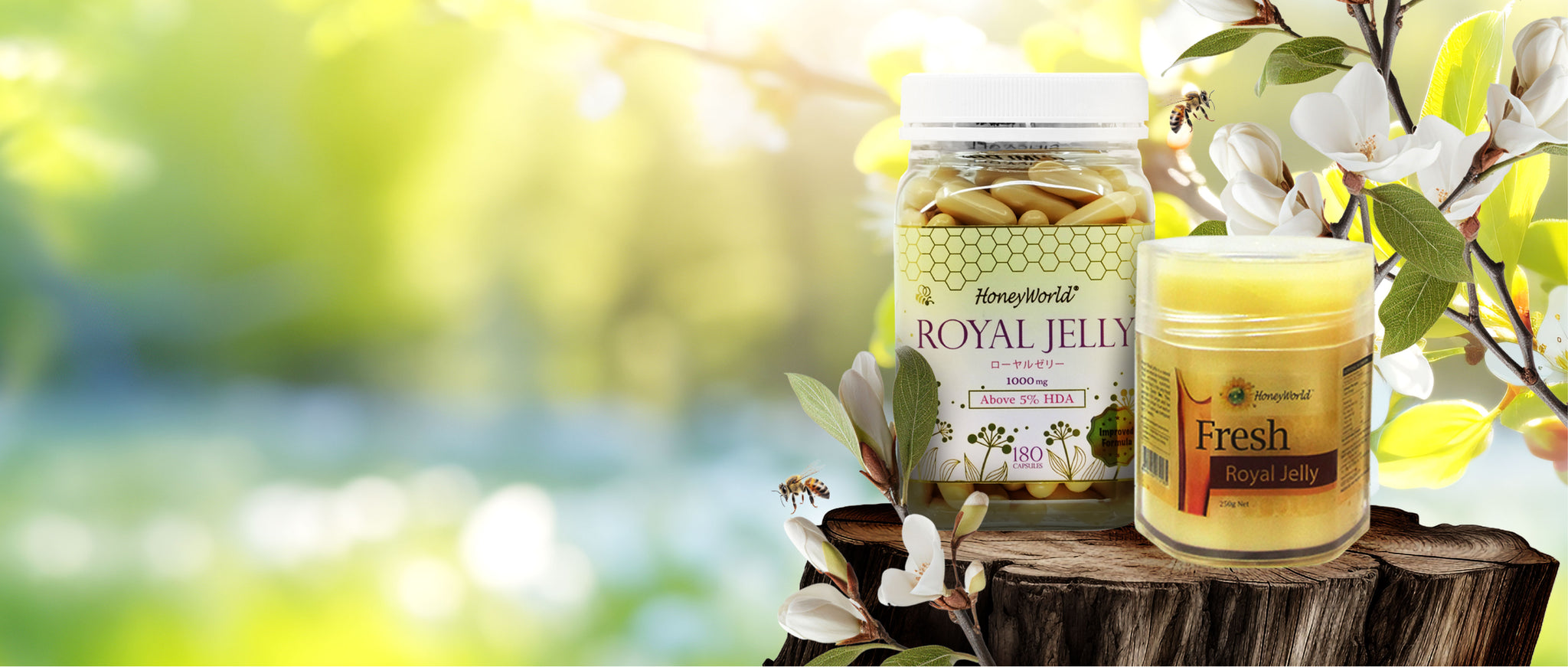 HoneyWorld | Dedicated to Pure & Authentic Bee Products