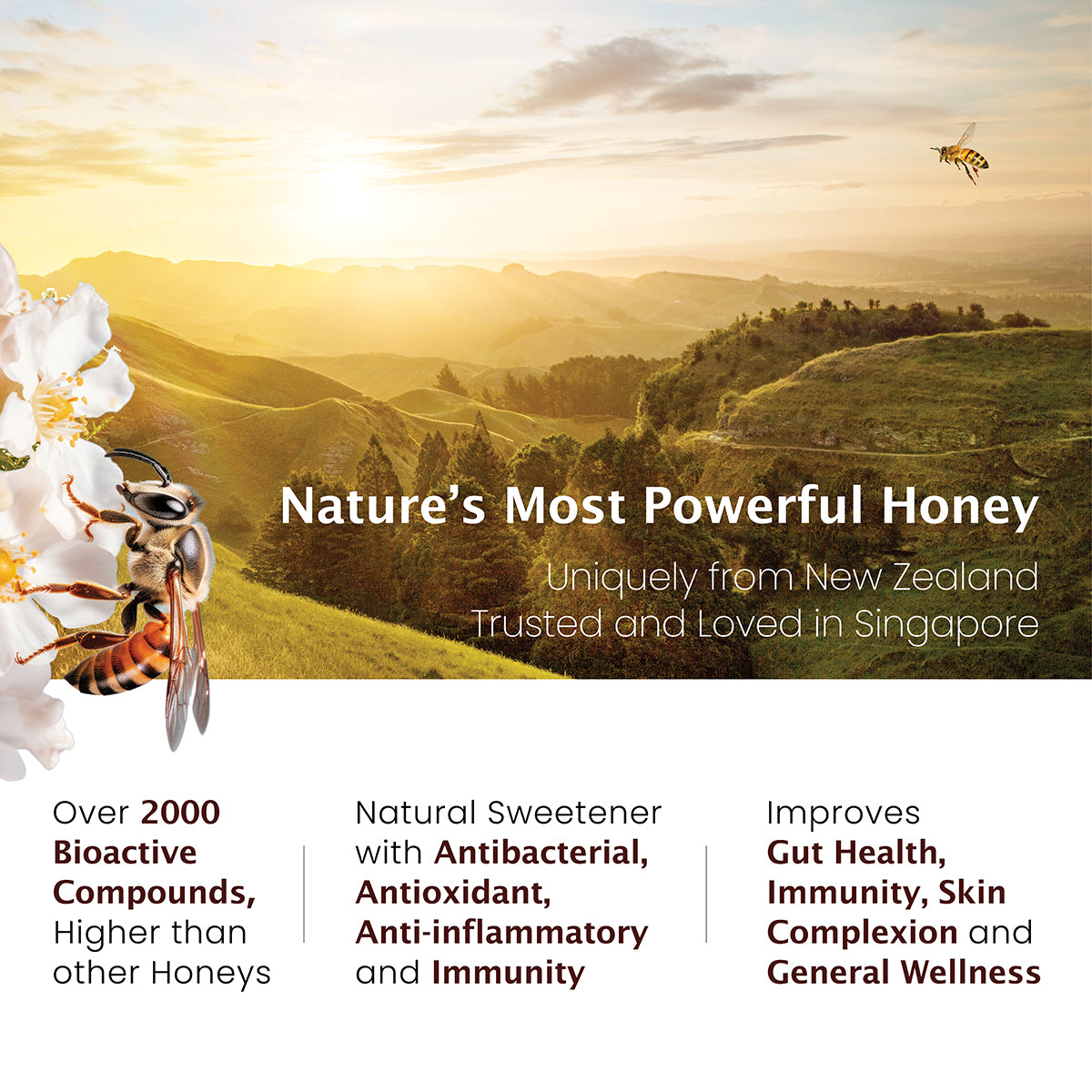 UMF™ 12+ Raw Manuka Honey – HoneyWorld
